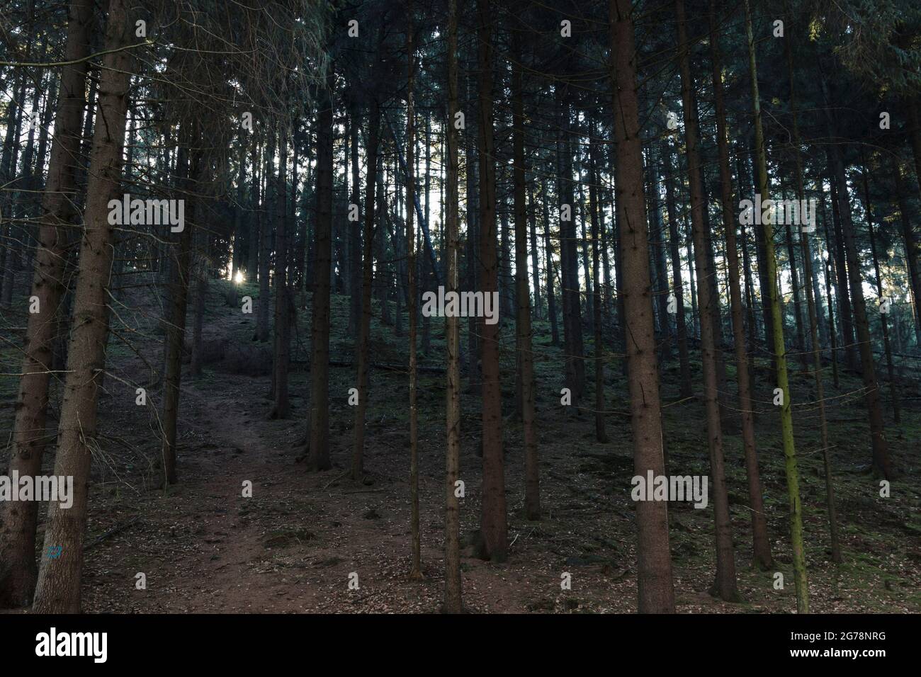 Germany, Teutoburg Forest in Munster region, Ibbenbueren Stock Photo ...