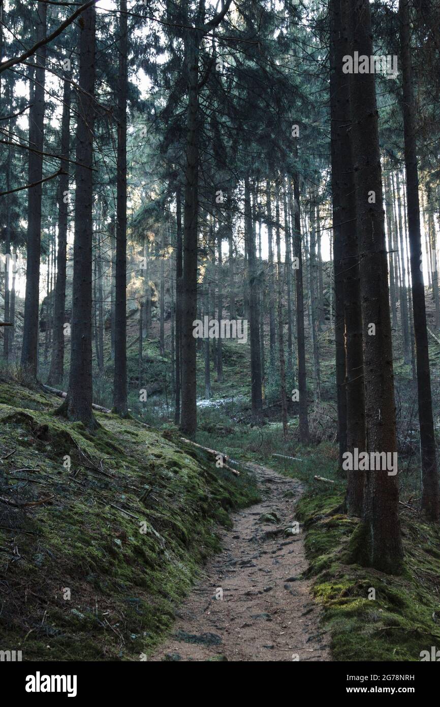 Germany, Teutoburg Forest in Munster region, Ibbenbueren Stock Photo ...