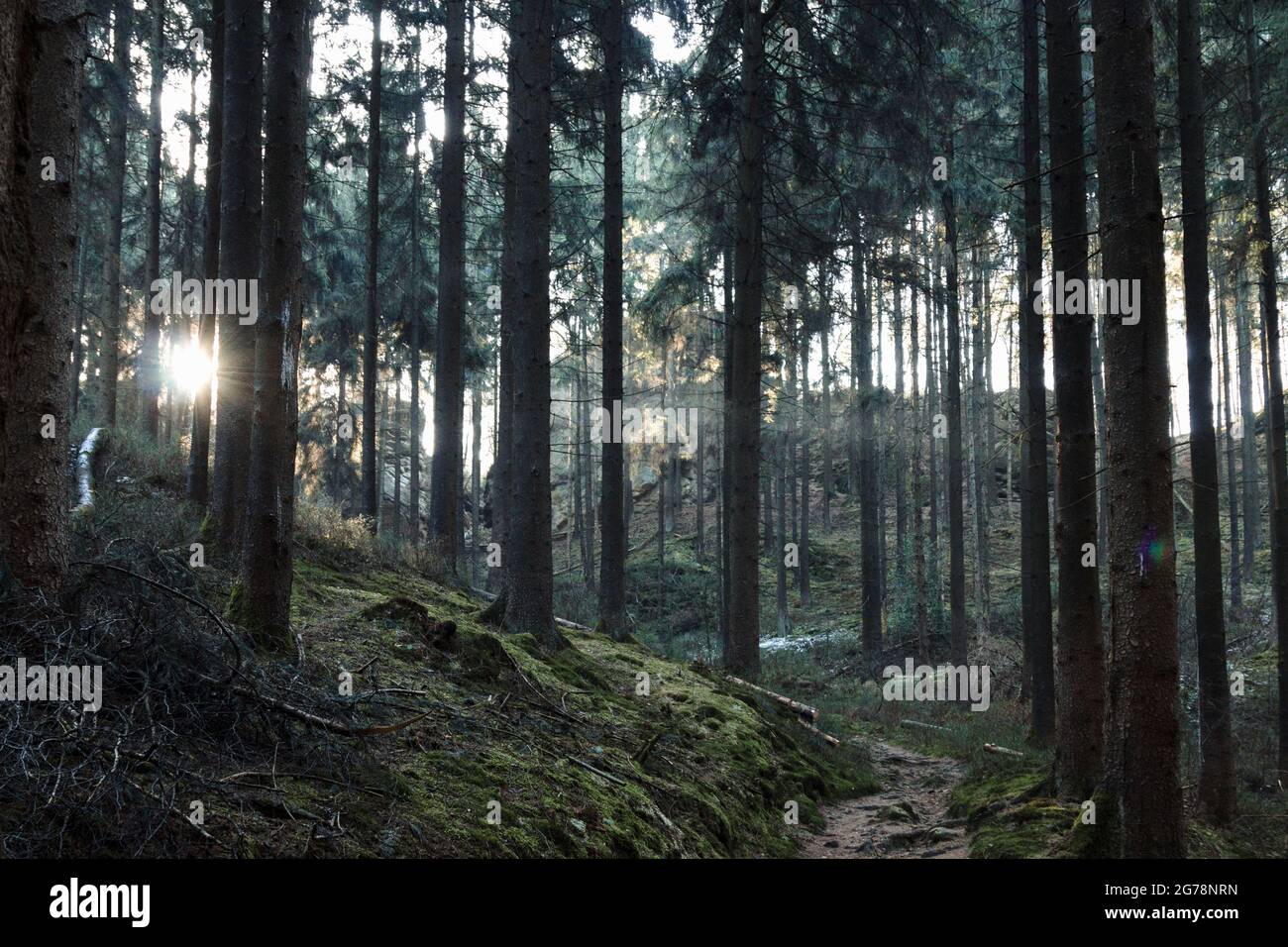 Germany, Teutoburg Forest in Munster region, Ibbenbueren Stock Photo ...