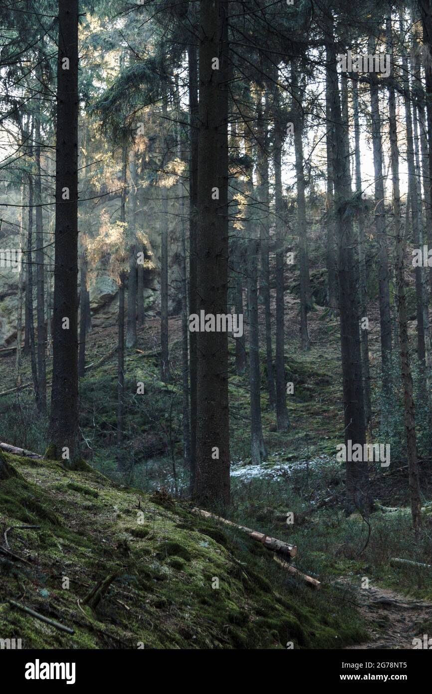 Germany, Teutoburg Forest in Munster region, Ibbenbueren Stock Photo ...