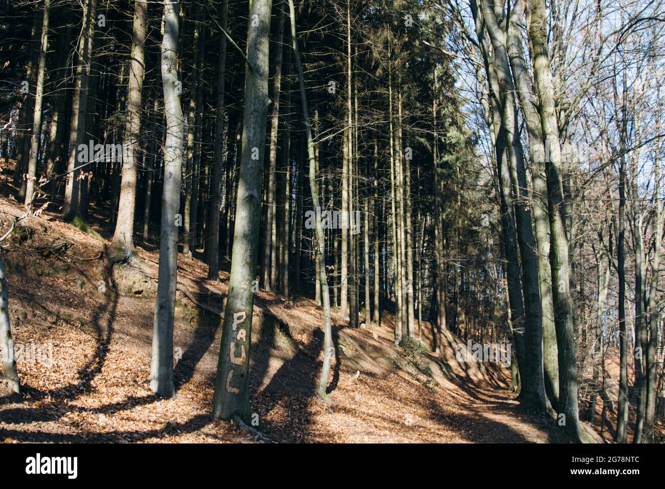 Germany, Teutoburg Forest in Munster region, Ibbenbueren Stock Photo ...