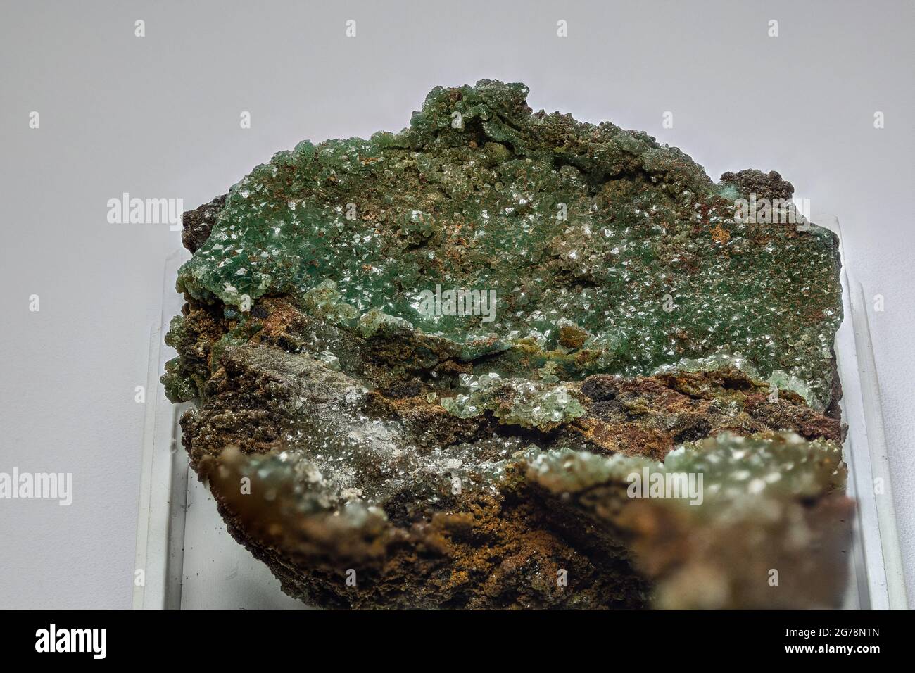 Adamin hi-res stock photography and images - Alamy