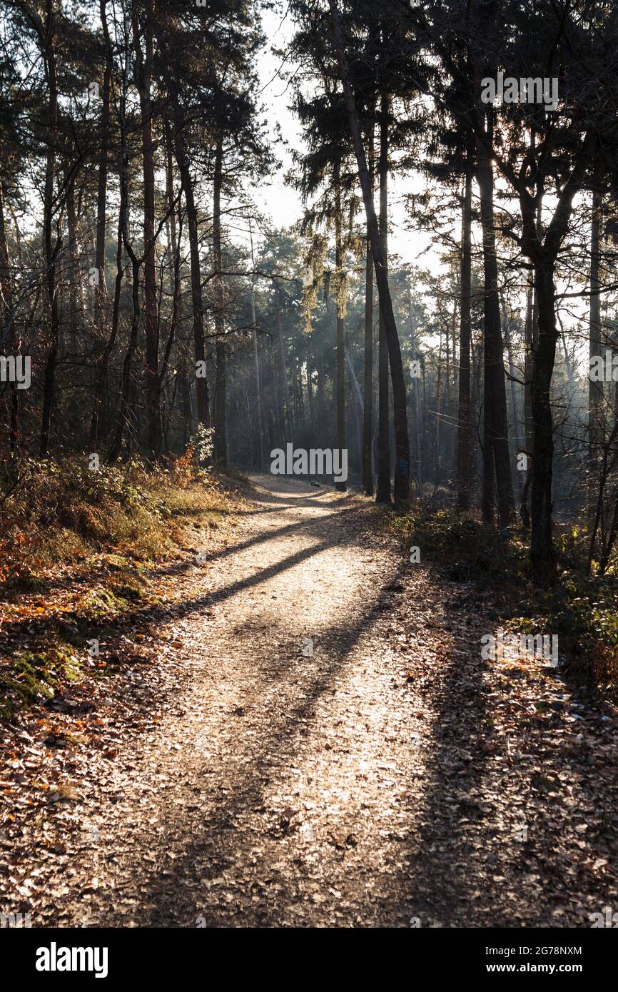 Germany, Teutoburg Forest in Munster region, Ibbenbueren Stock Photo ...