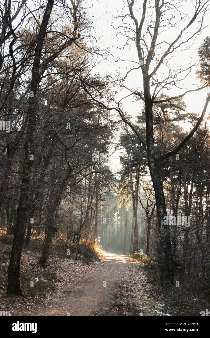 Germany, Teutoburg Forest in Munster region, Ibbenbueren Stock Photo ...