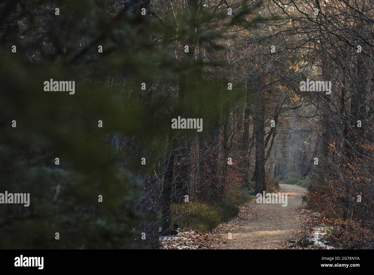 Germany, Teutoburg Forest in Munster region, Ibbenbueren Stock Photo ...