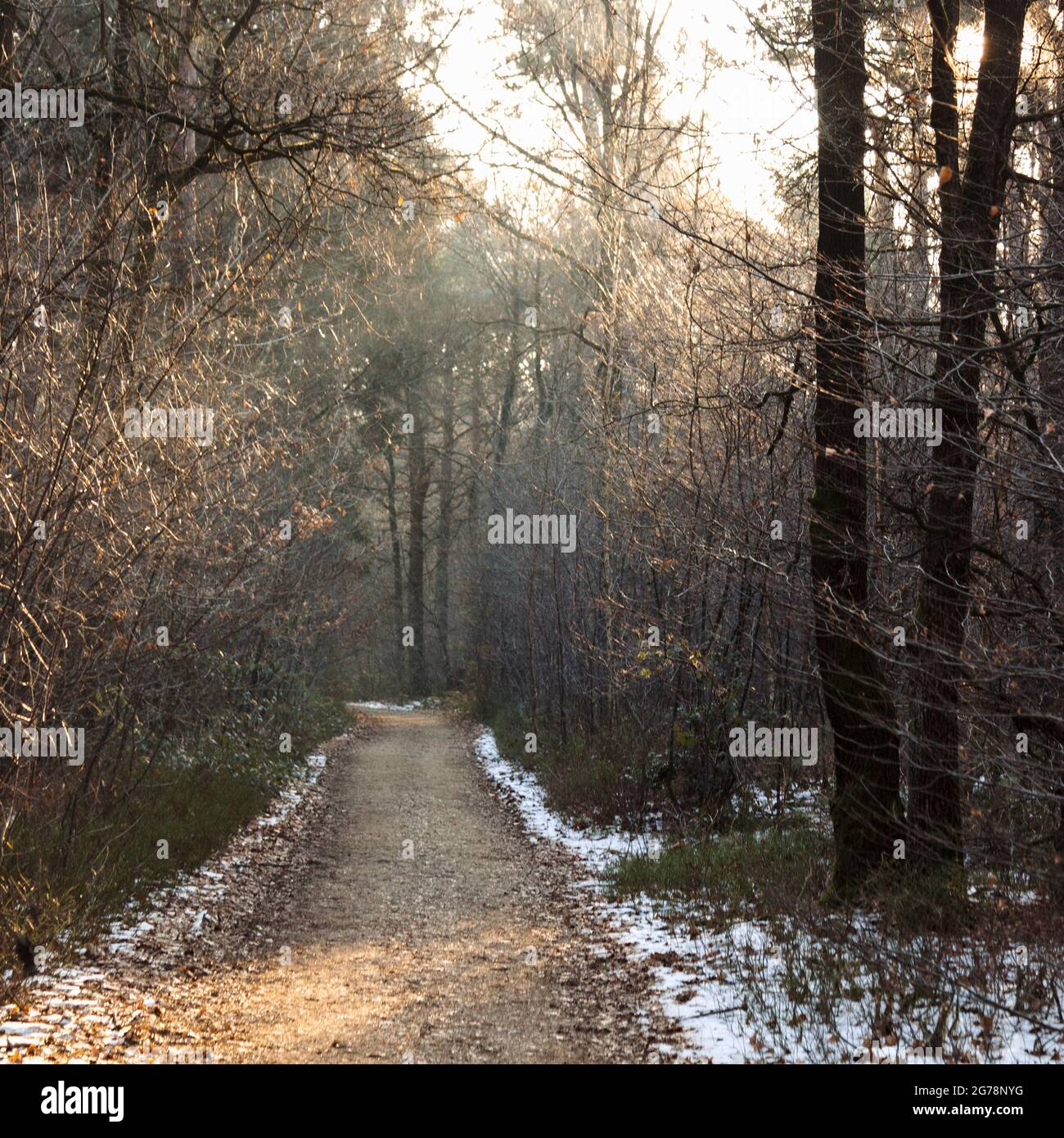 Germany, Teutoburg Forest in Munster region, Ibbenbueren Stock Photo ...