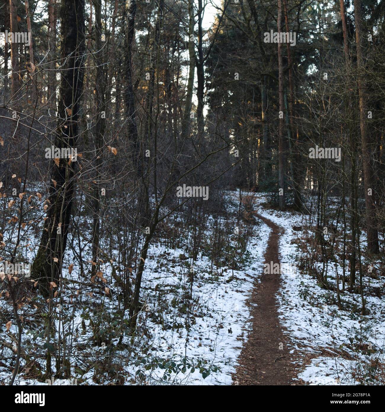 Germany, Teutoburg Forest in Munster region, Ibbenbueren Stock Photo ...