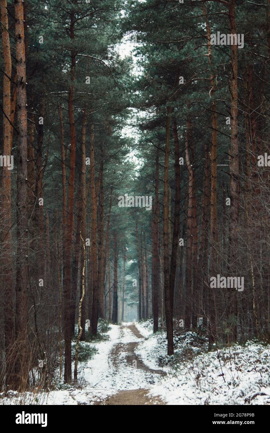 Germany, Teutoburg Forest in Munster region, Ibbenbueren Stock Photo ...