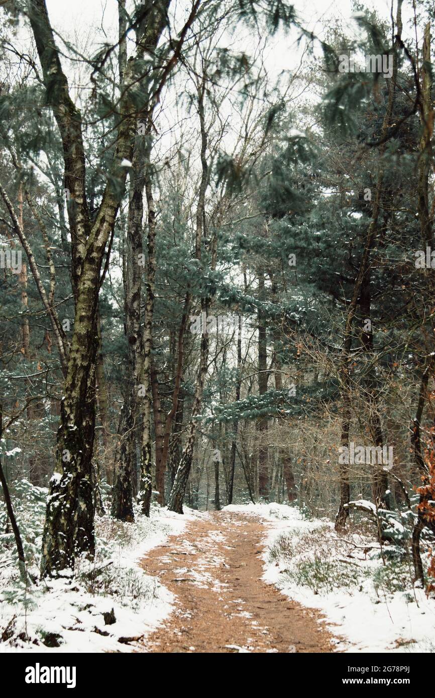 Germany, Teutoburg Forest in Munster region, Ibbenbueren Stock Photo ...