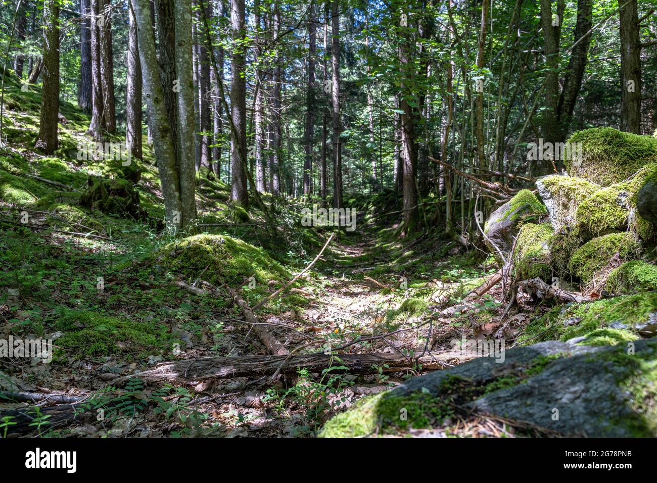 Europe, Austria, Tyrol, Ötztal Alps, Ötztal, Oetz, natural idyll in the ...