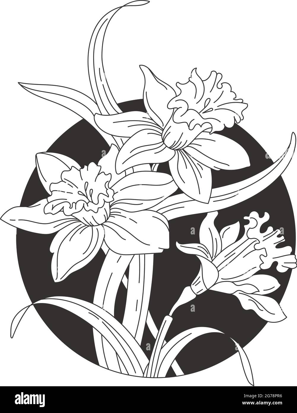 Narcissus Flower Drawing Tattoo