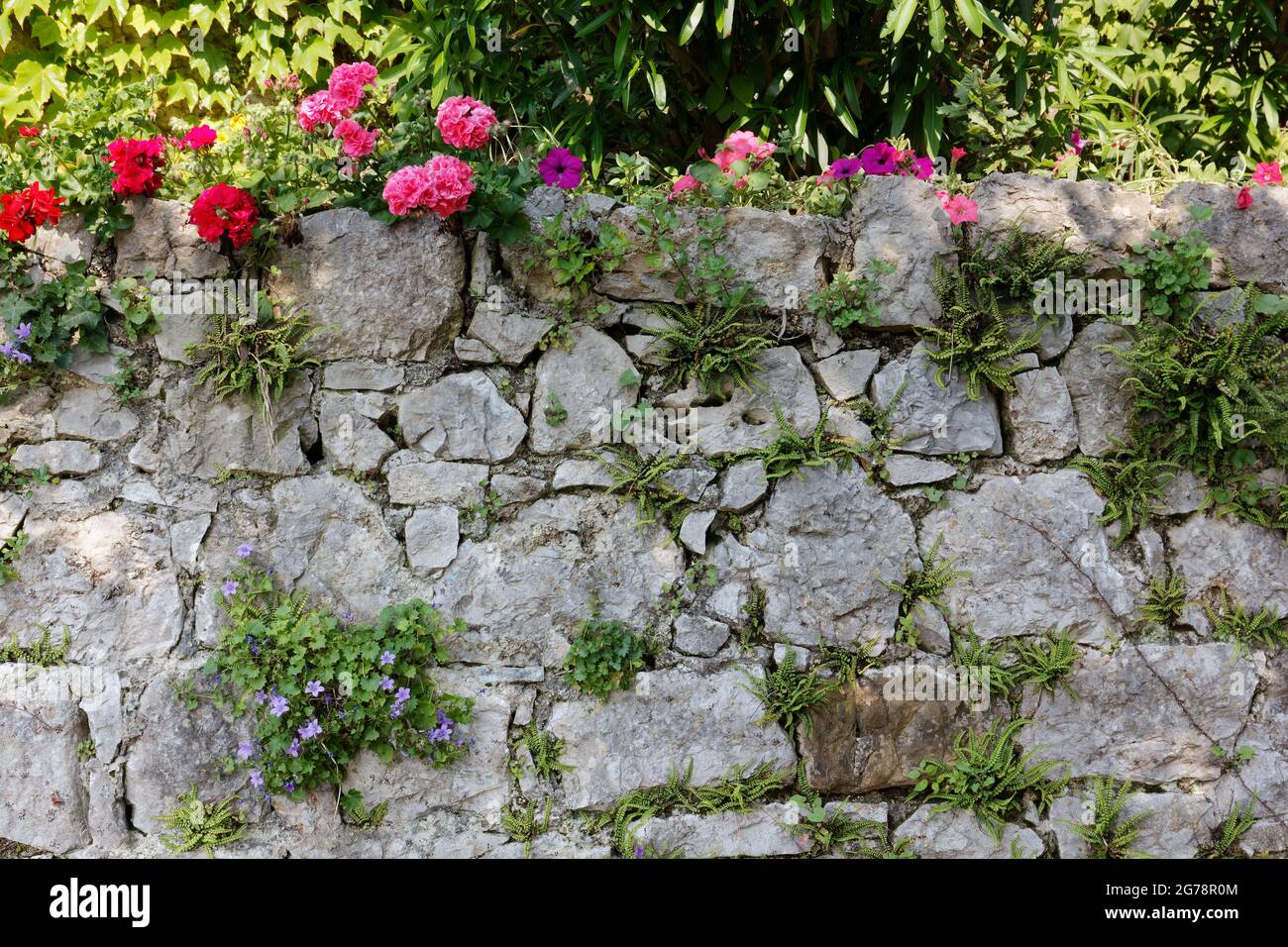 Exterior stone wall in a garden decorated with beautiful flowers Stock ...