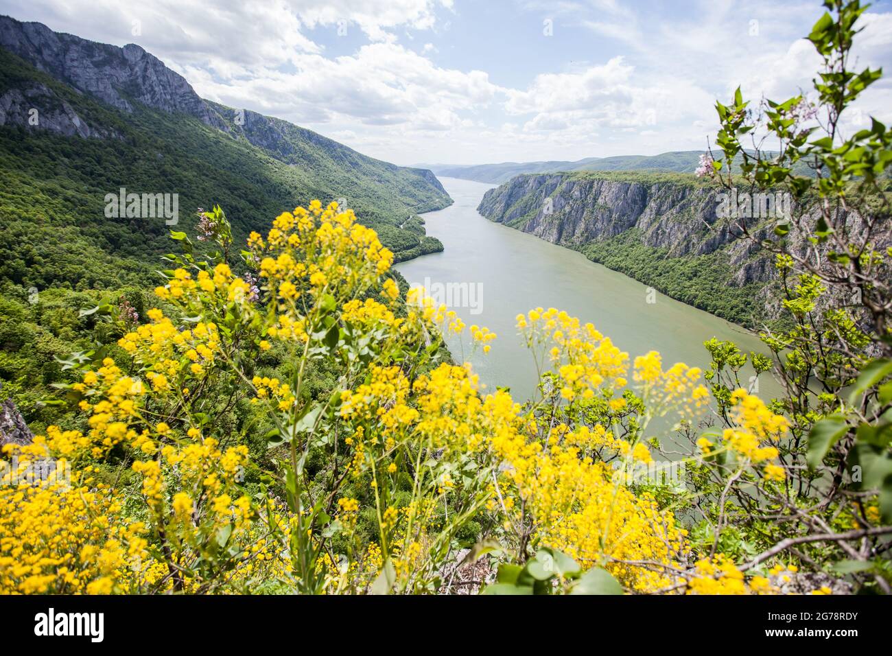 Panoramic view of amazing gorge on the Danube river , seen from the ...