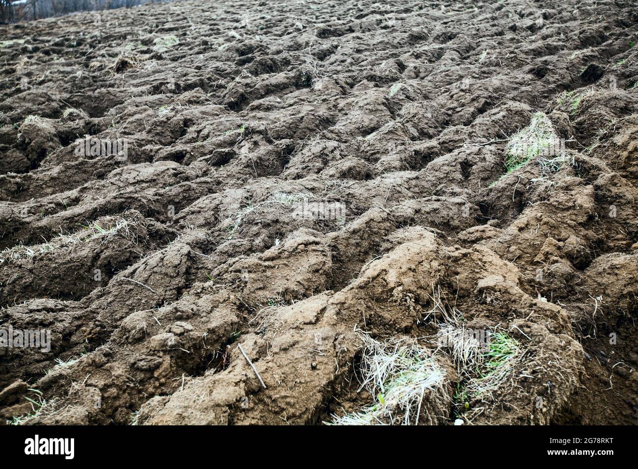 Rural agricultural landscape of the ploughed field Stock Photo - Alamy