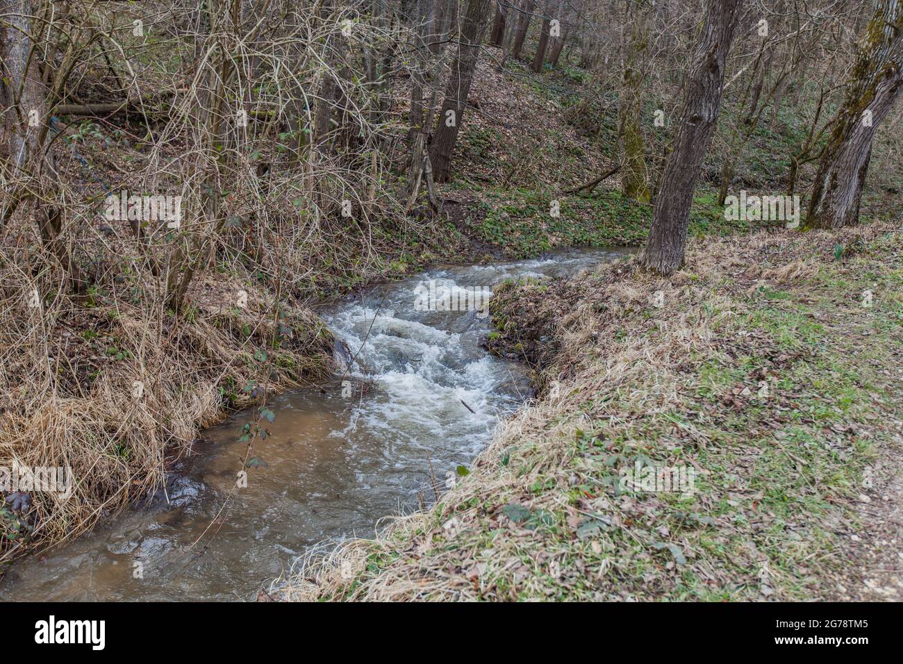 Beautiful Nature Landscape. Early spring daylight . Relaxing view on ...