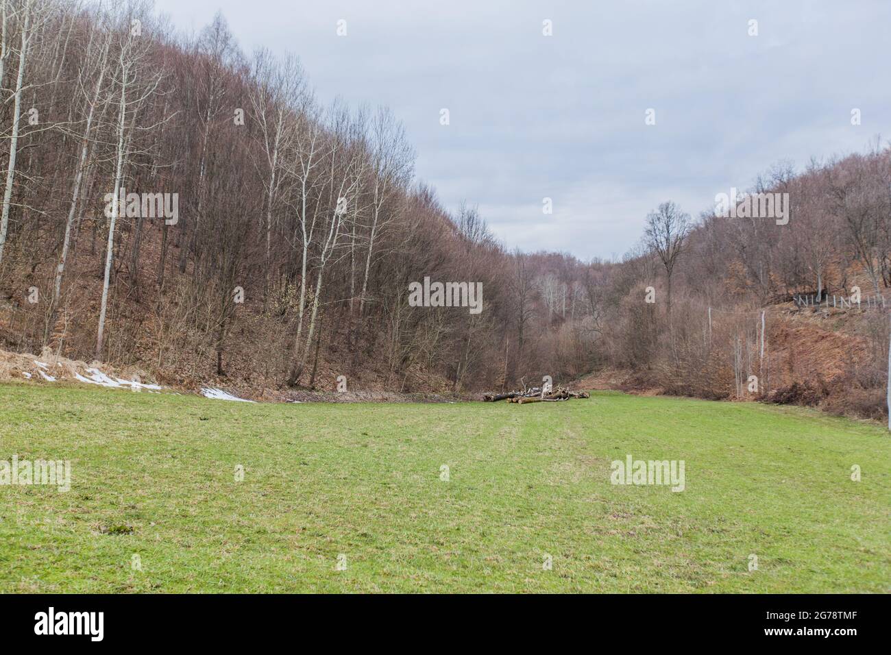 Beautiful Nature Landscape. Early spring daylight . Relaxing view on ...