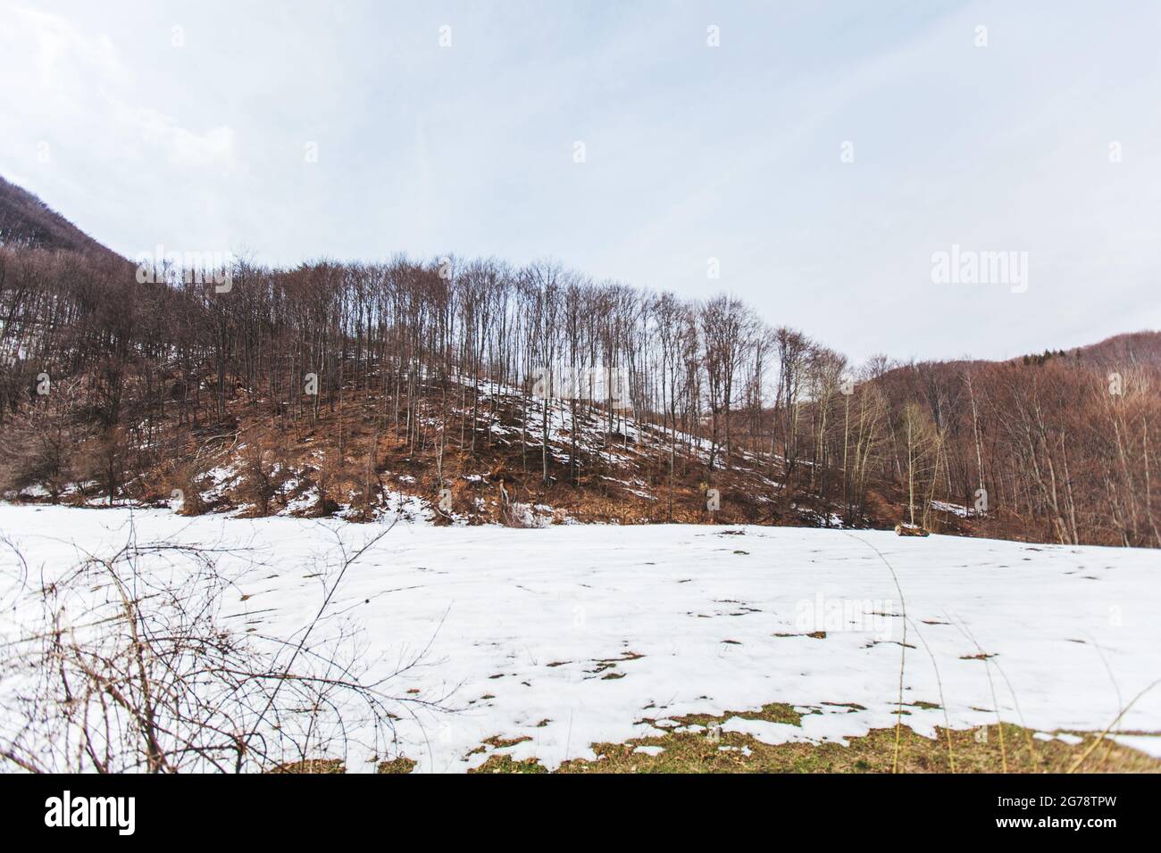 Nature Landscape. Winter daylight. Mountain range in eastern Serbia ...