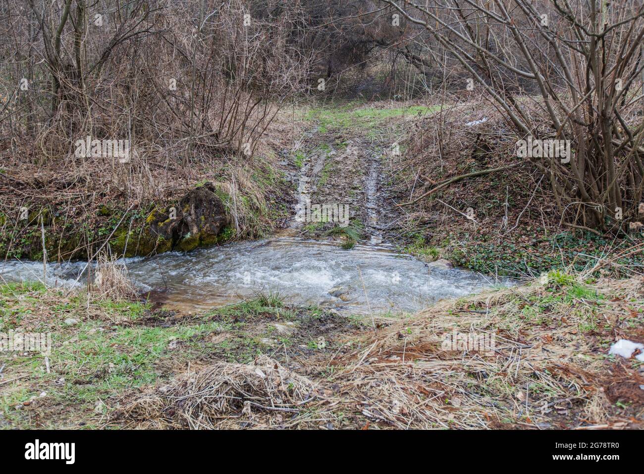 Beautiful Nature Landscape. Early spring daylight . Relaxing view on ...