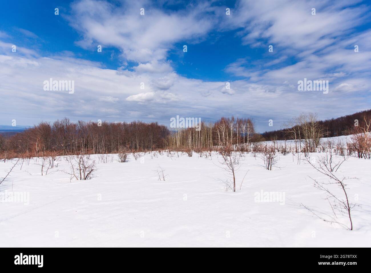 Nature Landscape. Winter daylight. Mountain range in eastern Serbia ...