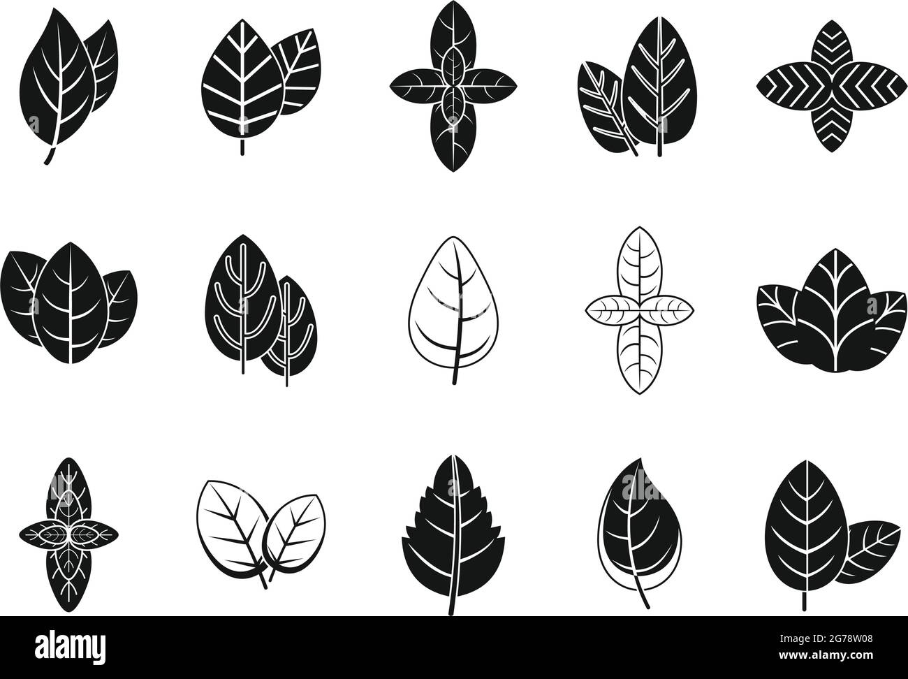 Basil Leaf Vector