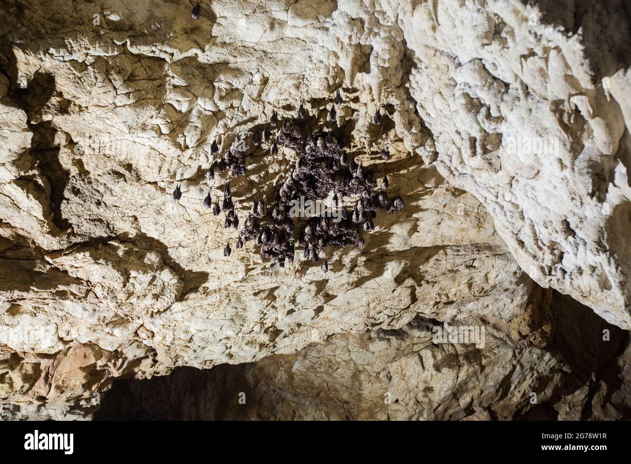 Underground cave, amazing scene , view of stalactites and stalagmite ...