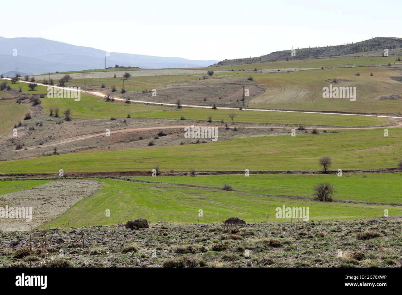 Cultivated farmland. Mountain landscape background texture Stock Photo ...