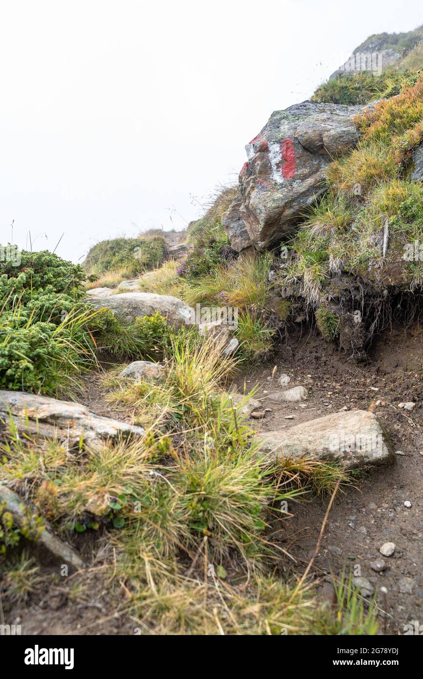 Europe, Austria, Tyrol, Ötztal Alps, Ötztal, Obergurgl, hut access to ...