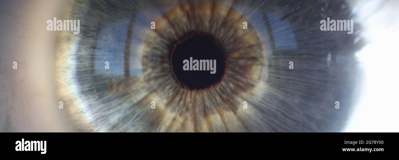 Macro photography of blue iris of female eye closeup. Laser vision ...