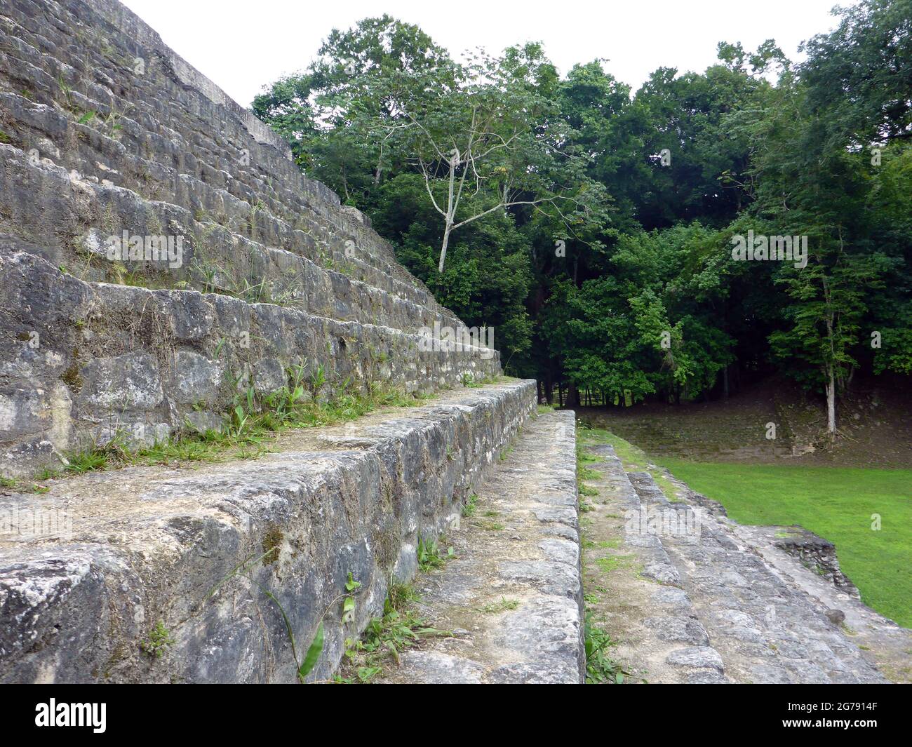 Caracol tropical hi-res stock photography and images - Alamy