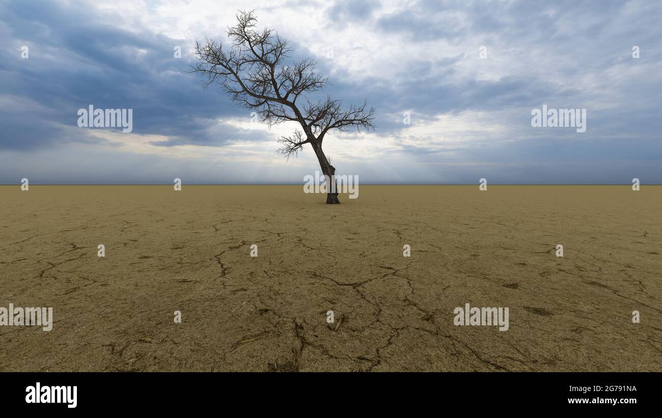 Concept or conceptual desert landscape with a parched tree as a ...