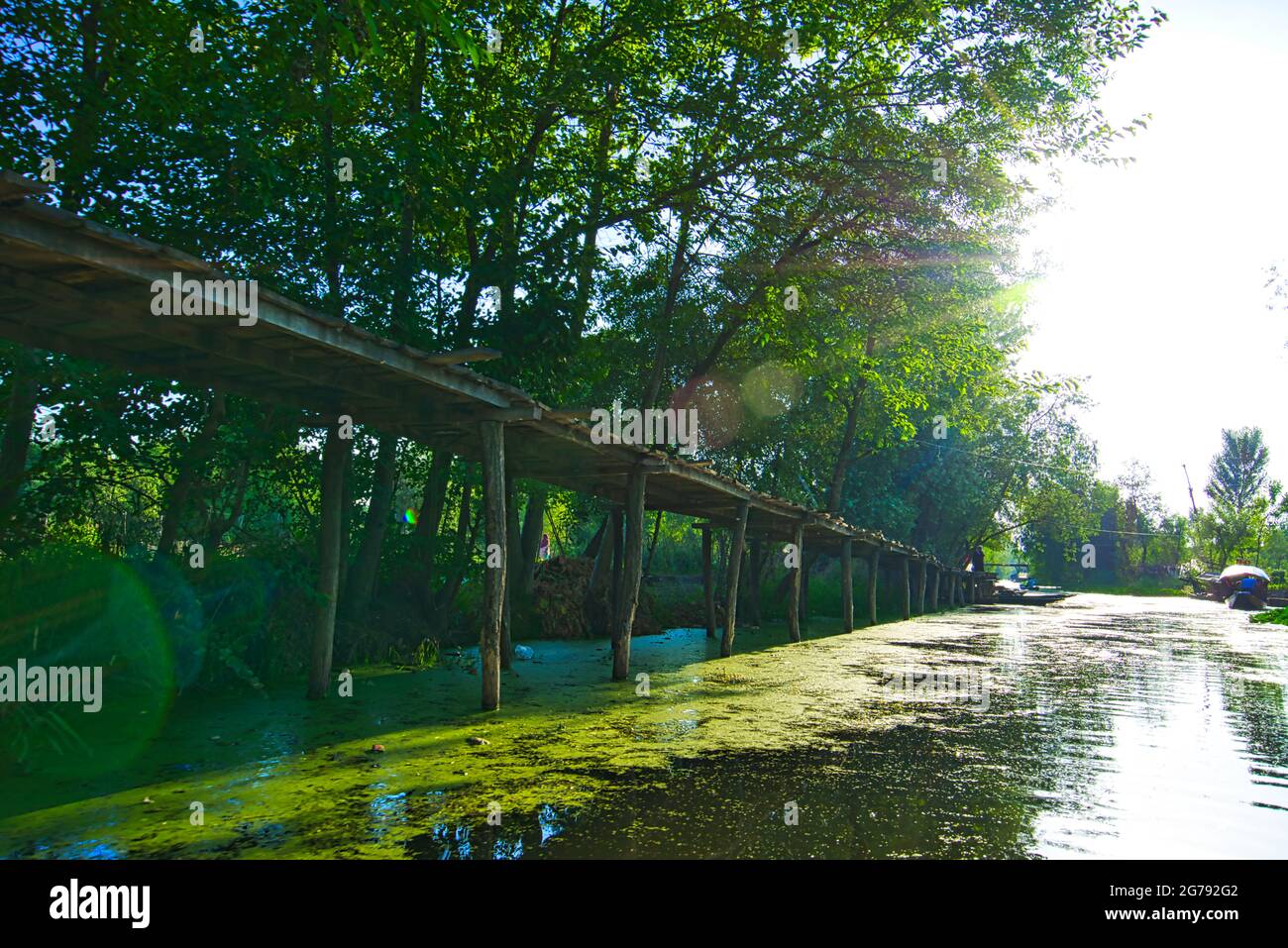 A wooden bridge for pedestrians. Built along the river where the ...