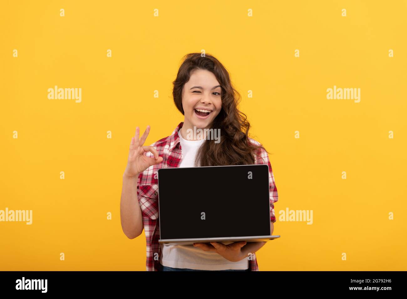 happy smart child presenting laptop at school online lesson show ok ...