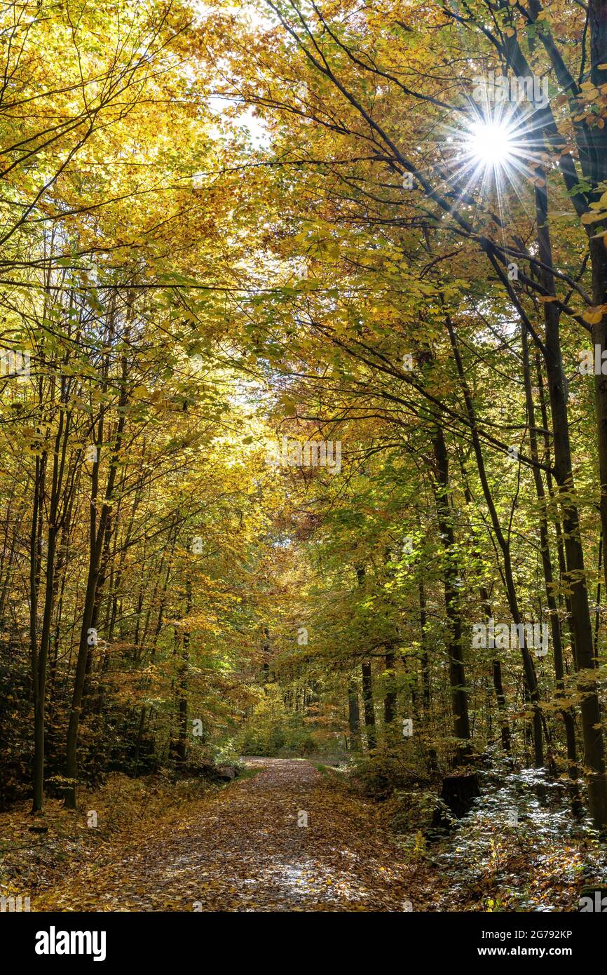 Blanking covers hi-res stock photography and images - Alamy