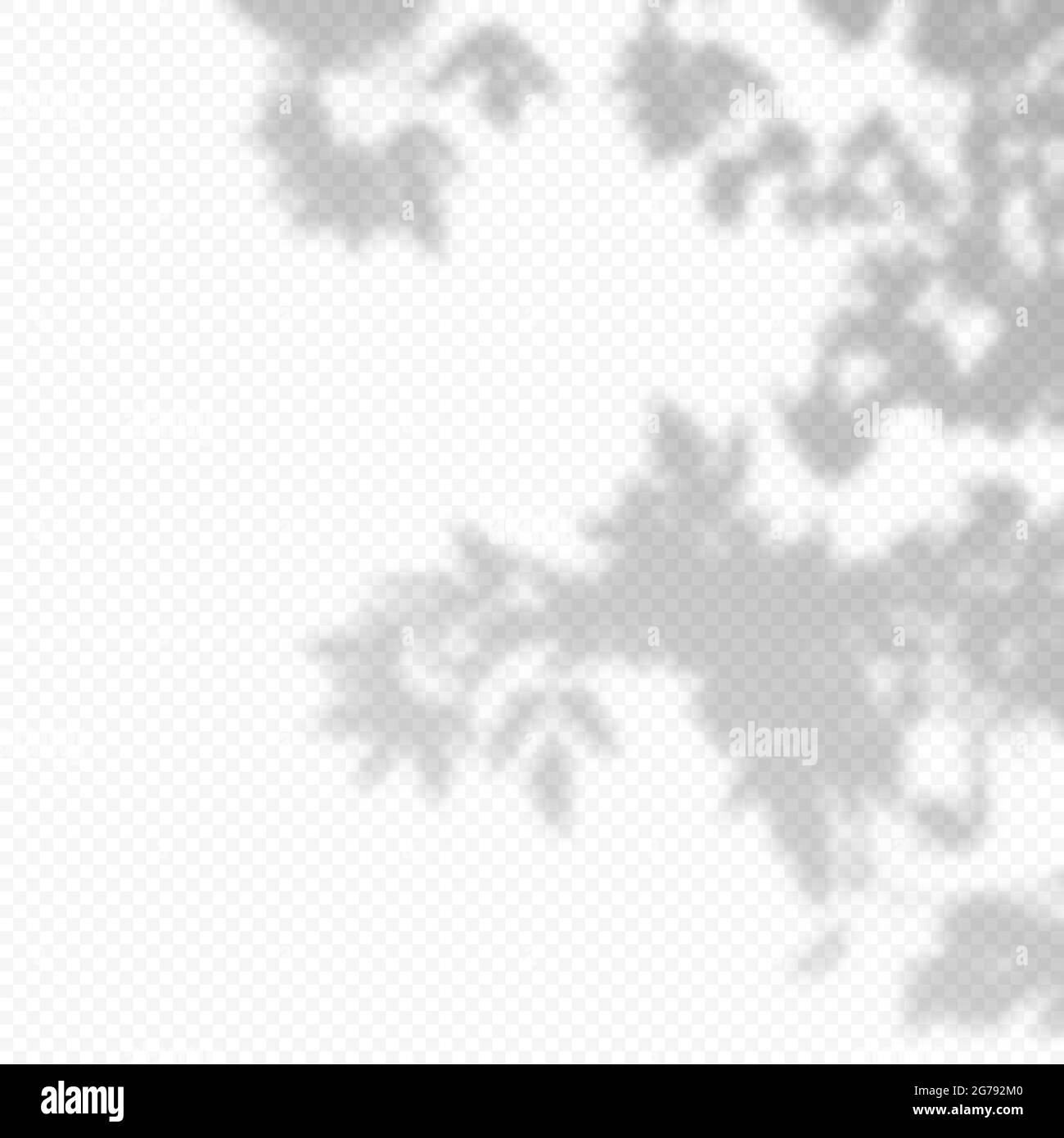 Realistic Vector transparent overlay blured shadow of branch leaves ...
