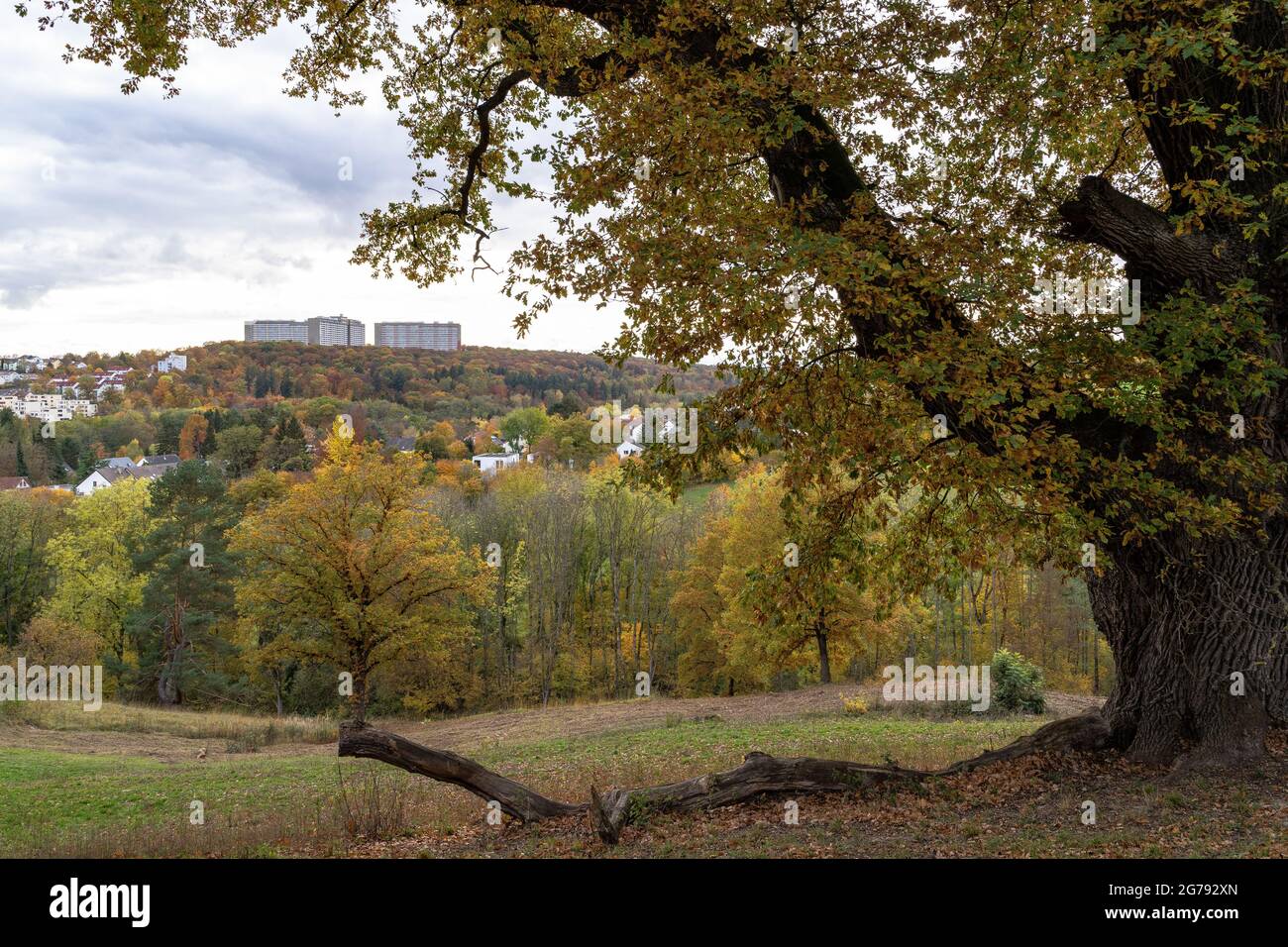 Asemwald hi-res stock photography and images - Alamy