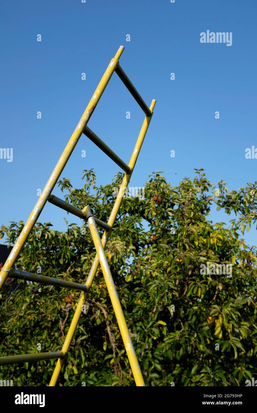 Harvest in the Old Land Stock Photo - Alamy