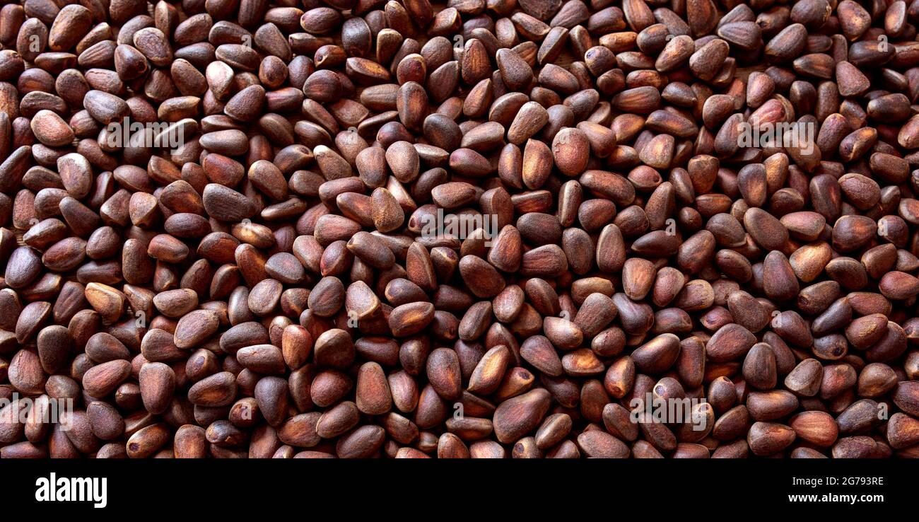 Background from cedar nuts , pine seeds Stock Photo - Alamy