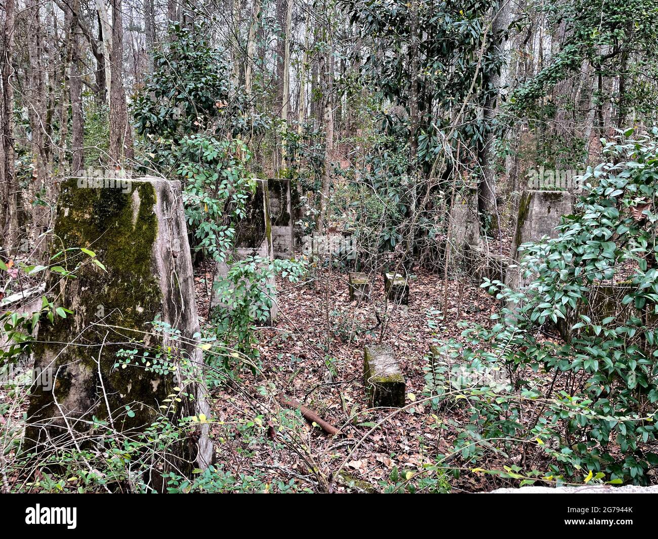 Ancient concrete pillars and fall foliage in a forest in rural Georgia ...
