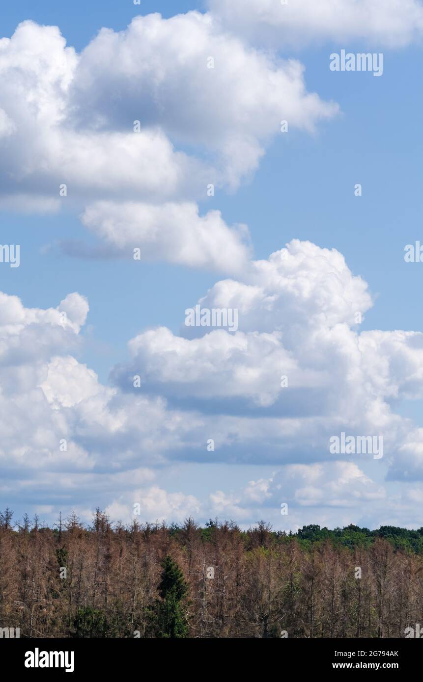 Cumulus clouds and blue sky, natural background or wallpaper Stock ...