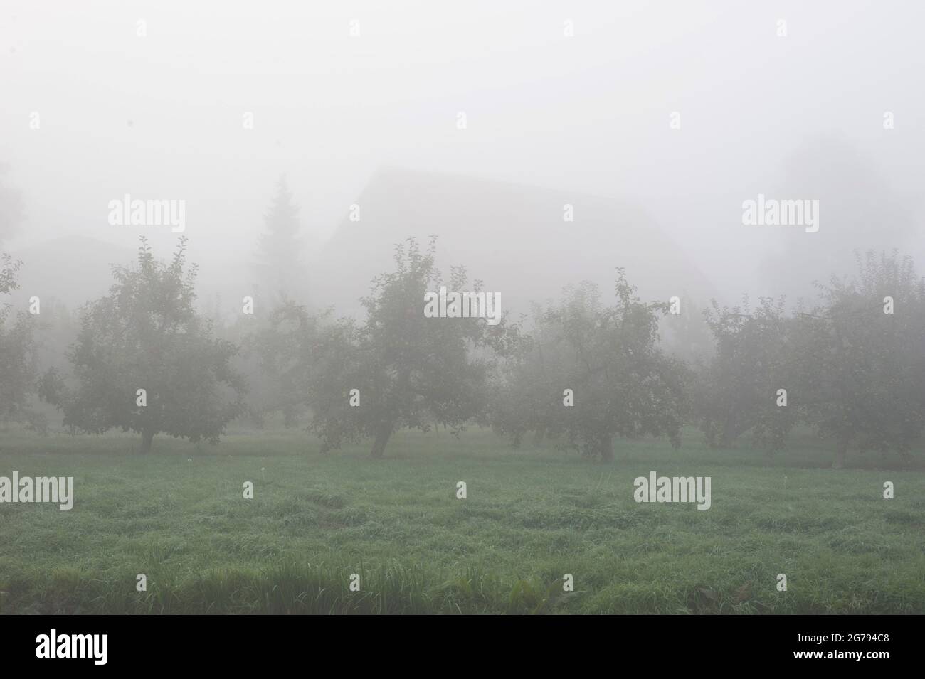 Fog in the old country Stock Photo - Alamy