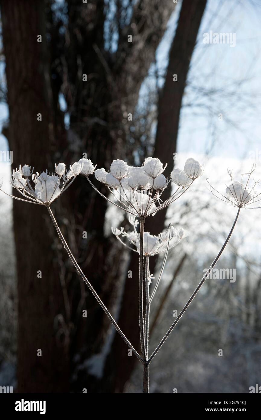 Time environment hi-res stock photography and images - Alamy