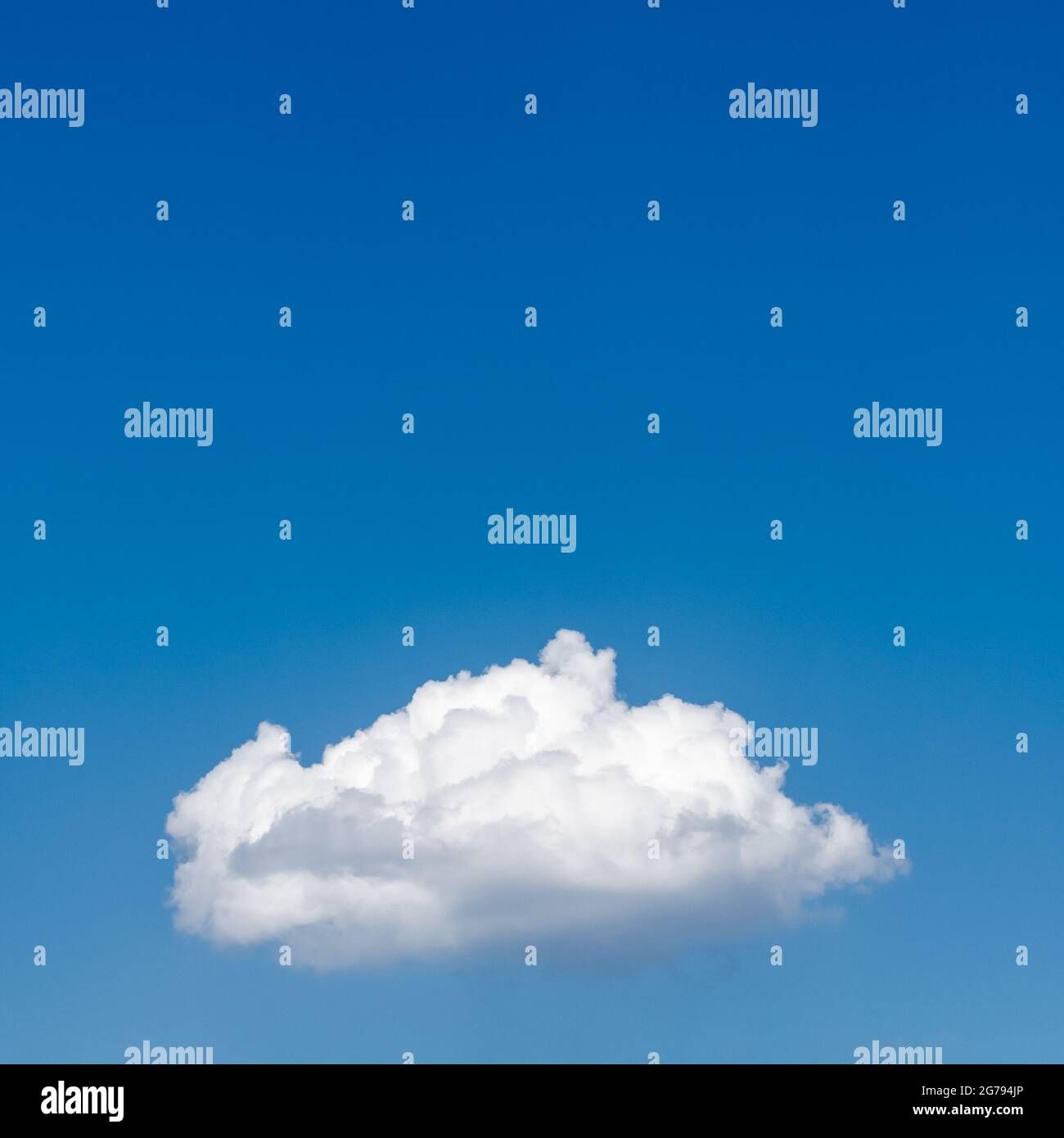 One single cumulus cloud in the blue sky, natural background or ...