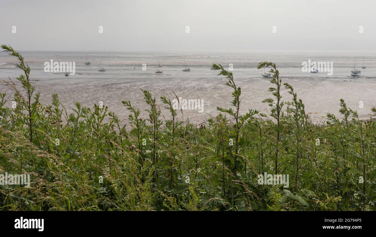 Empty sand beach under hi-res stock photography and images - Alamy
