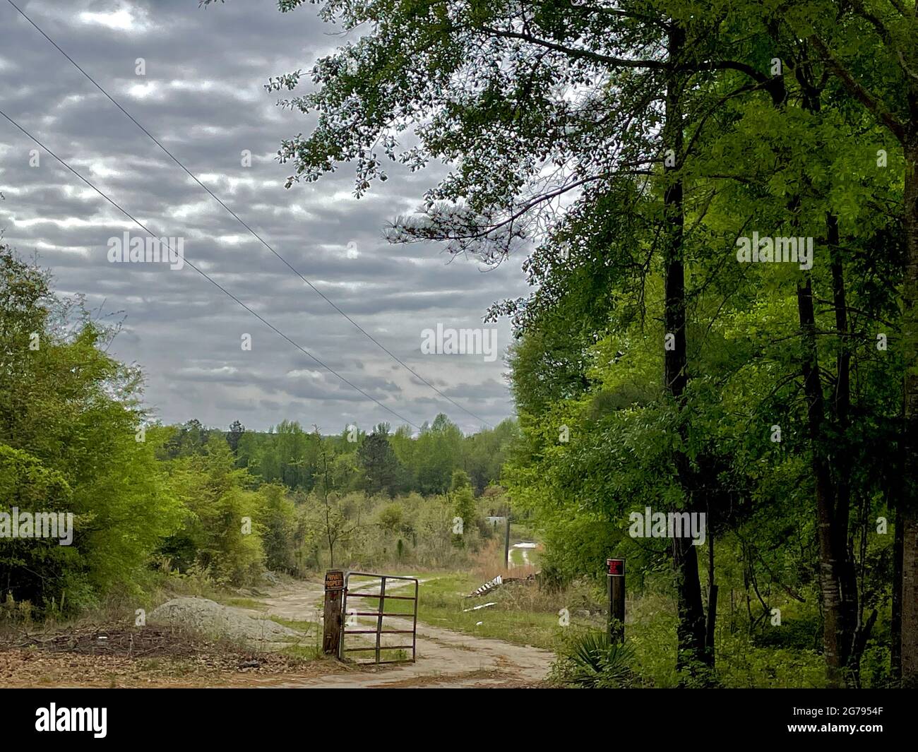 A rural dirt road in the country with beautiful nature background in ...