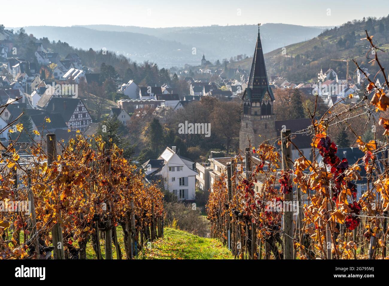 Europe, Germany, Baden-Wuerttemberg, view from the vineyard to the ...
