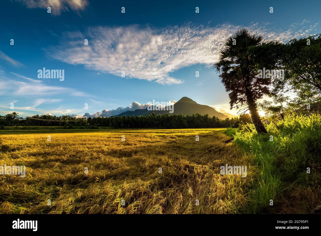 Nature landscape with Sunrise background view Stock Photo - Alamy
