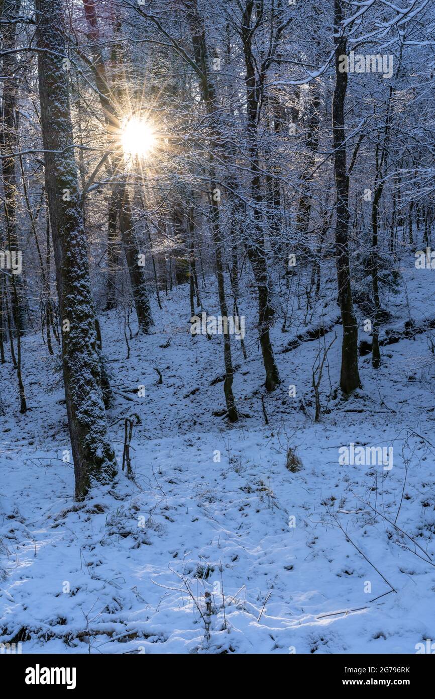 Covered setting area hi-res stock photography and images - Alamy