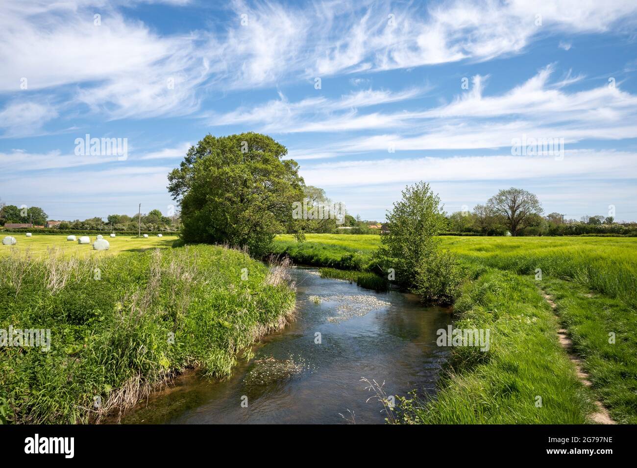 Pickering Beck in summer Stock Photo - Alamy