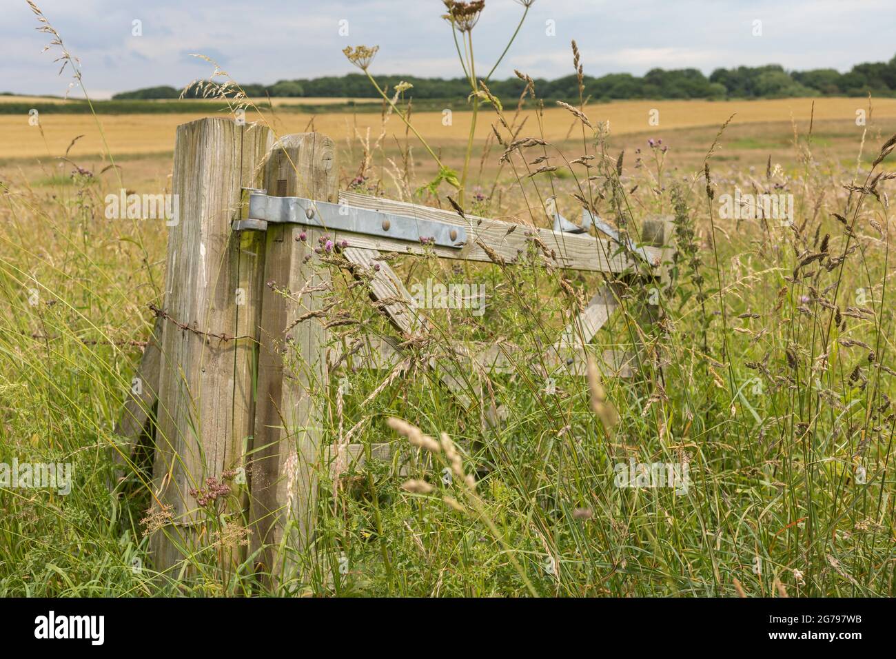 Over grown rickety broken gate in a field Stock Photo - Alamy