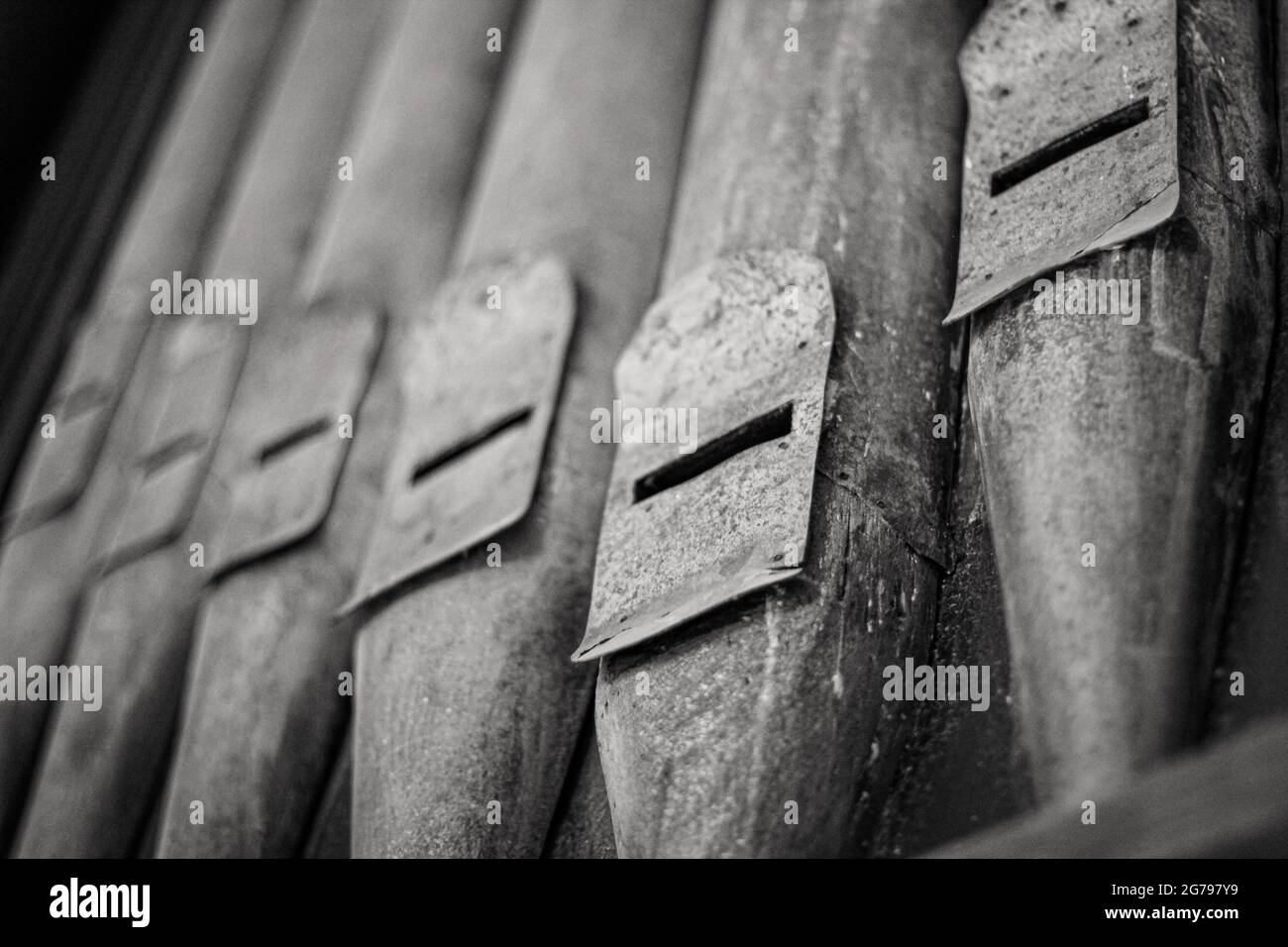 Organ system hi-res stock photography and images - Alamy